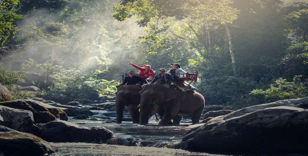 Chitwan Jungle Safari Tour | Himalayan Frozen Adventure